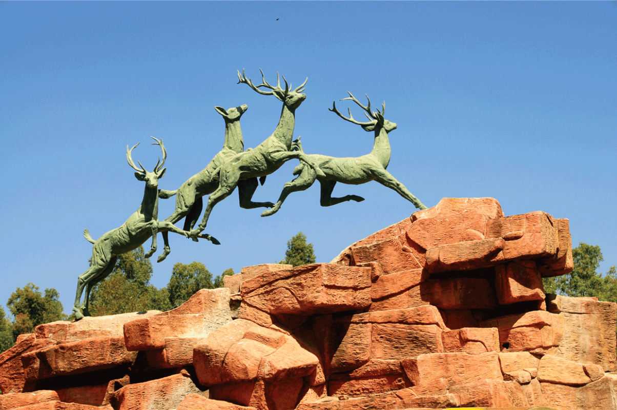 LEÓN - Guanajuato ven y hazlo tuyo